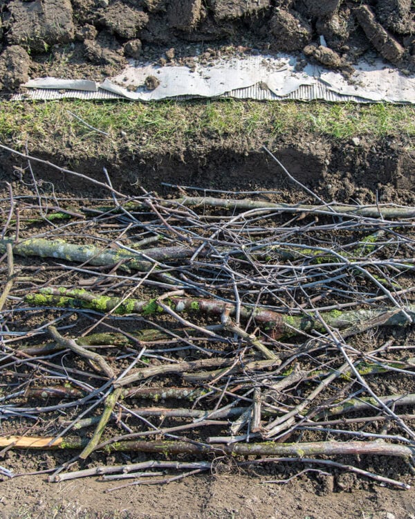 How To Fill A Raised Bed Cheaply & With Great Soil! - Patient Gardener
