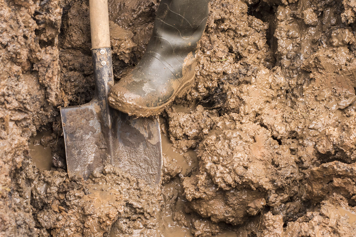 Can I Use Builders Sand In My Garden? - Patient Gardener