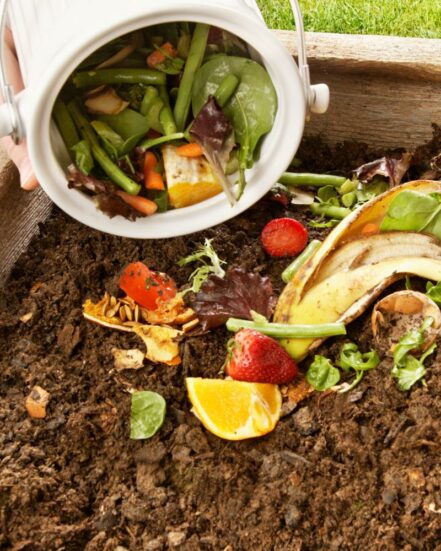 Using Kitchen Scraps In The Garden - Correctly! - Patient Gardener
