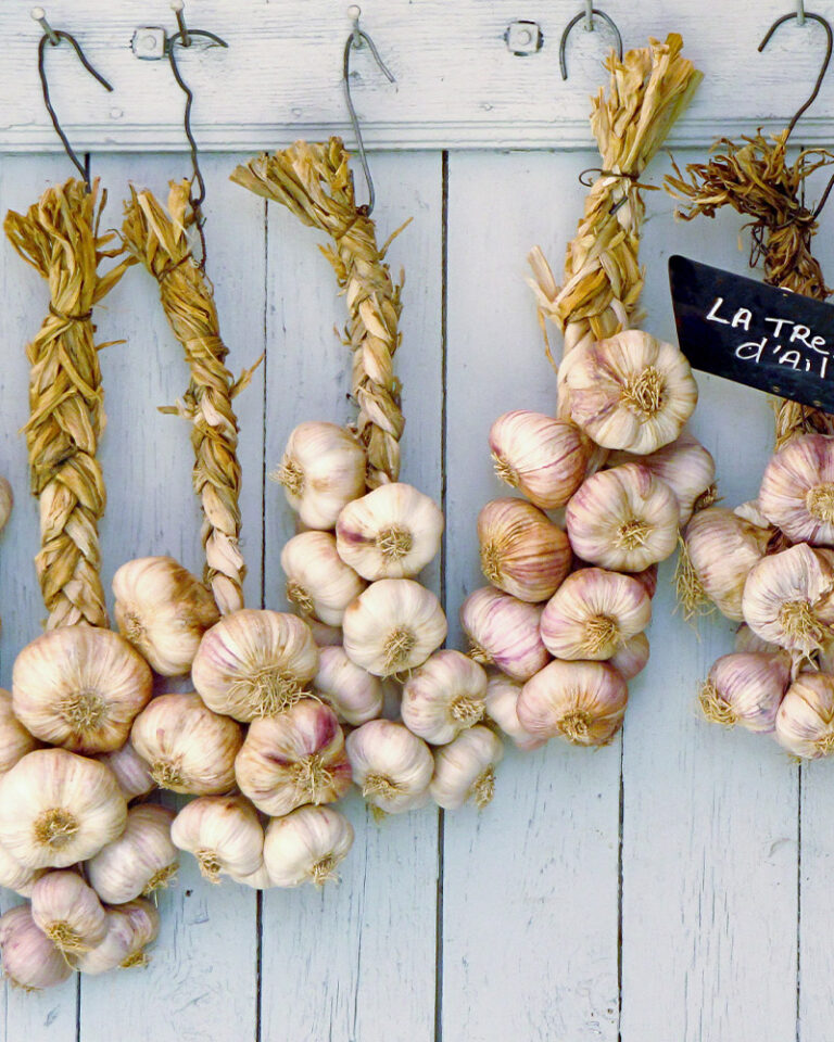 How To Cure & Store Your Garlic Harvest - Patient Gardener