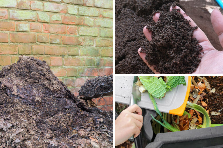 How to Use Wood Ash in the Garden - Patient Gardener