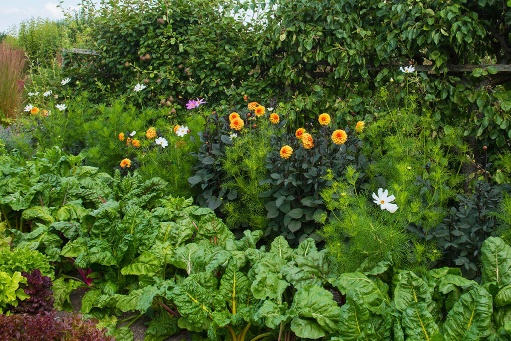 How To Build A Dead Hedge - Patient Gardener