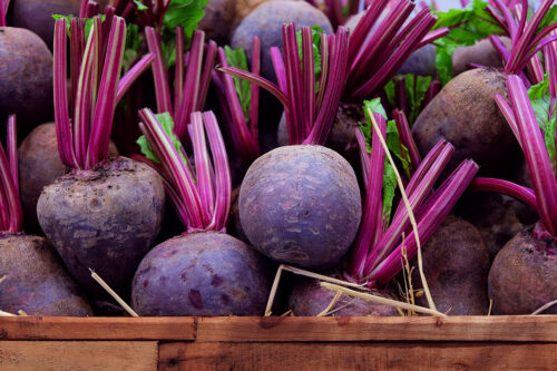 How to Grow Beetroot: A Step-by-Step Guide - Patient Gardener