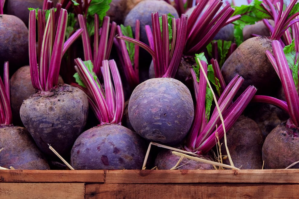 How to Grow Beetroot: A Step-by-Step Guide - Patient Gardener