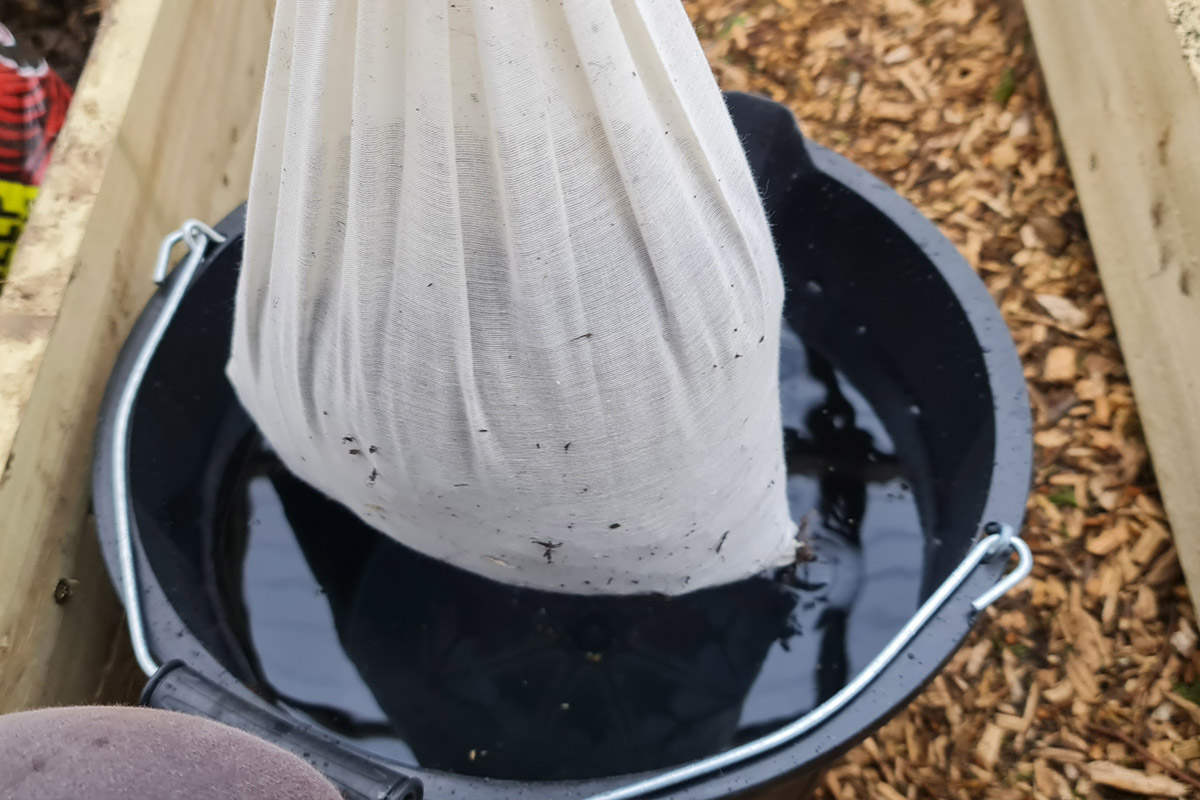 How to Make and Use Compost Tea: A Simple Guide - Patient Gardener