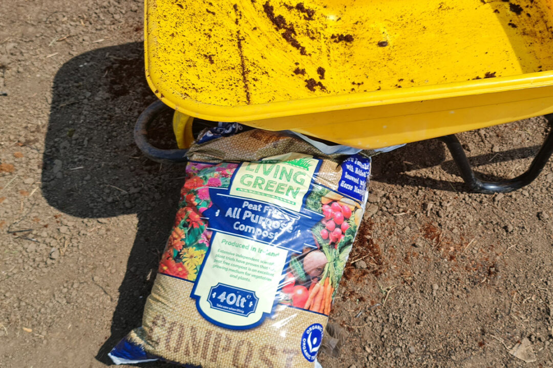 What Is The Best Peat Free Compost? My Trial! - Patient Gardener