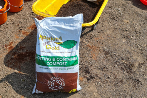 What Is The Best Peat Free Compost? My Trial! - Patient Gardener