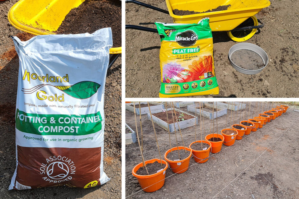 What Is The Best Peat Free Compost? My Trial! - Patient Gardener