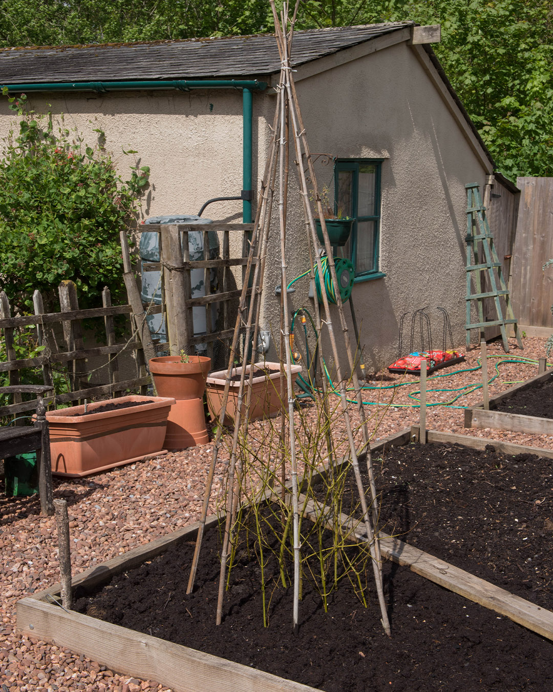 DIY Trellis Ideas - Patient Gardener