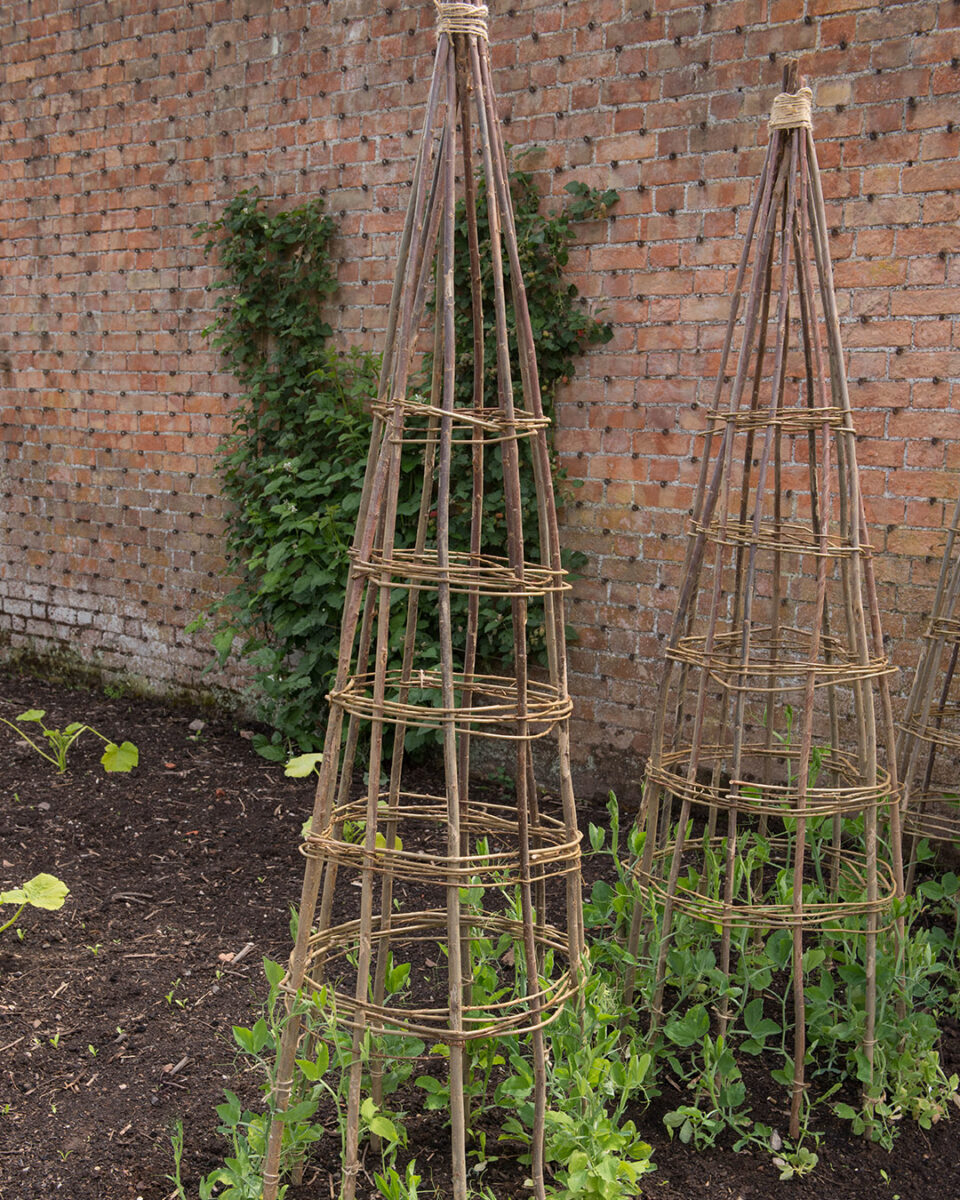 DIY Trellis Ideas - Patient Gardener