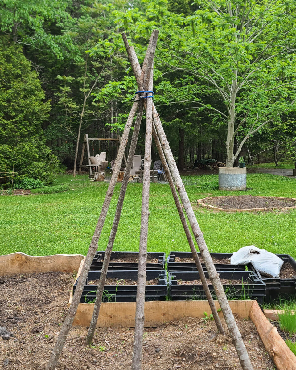 DIY Trellis Ideas - Patient Gardener