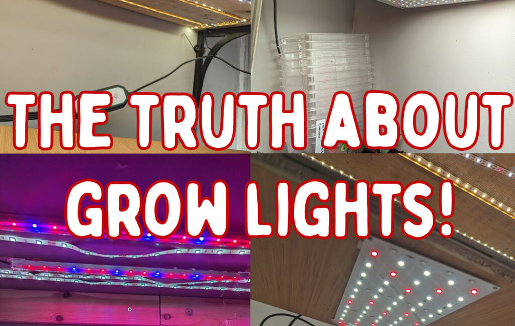 LED Grow Lights - Everything You Need to Know! - Patient Gardener