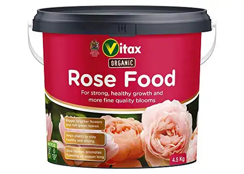 5 Simple Steps To Bigger Rose Blooms - Patient Gardener