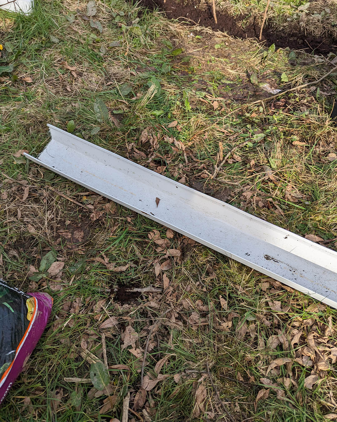 Sowing Peas In Guttering - Patient Gardener