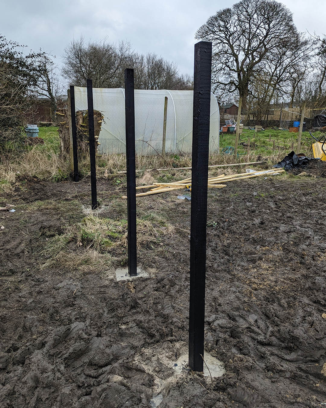 I Built A Super Modern Fence - Here's How - Patient Gardener