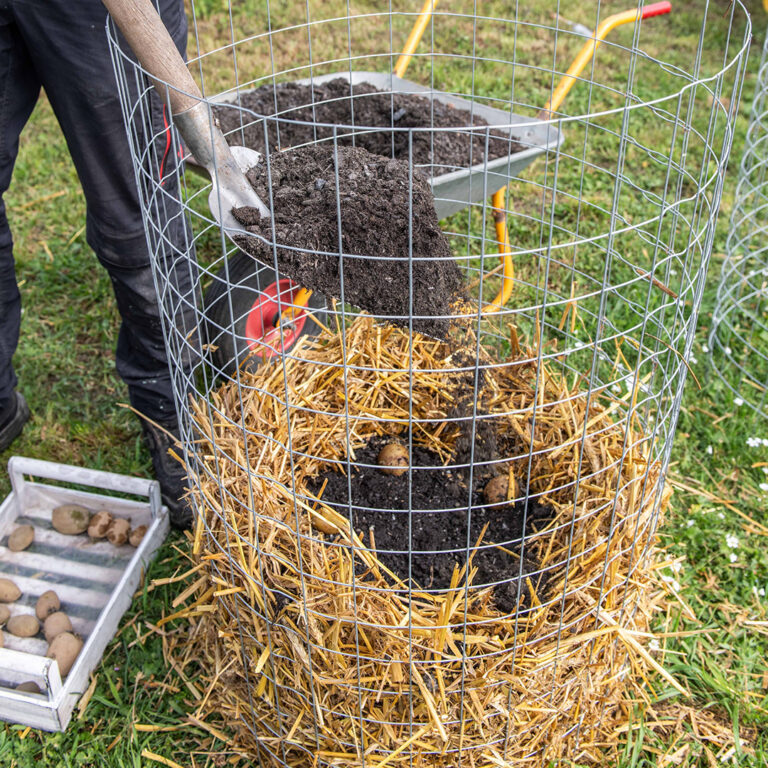 How To Make A Potato Tower - Patient Gardener