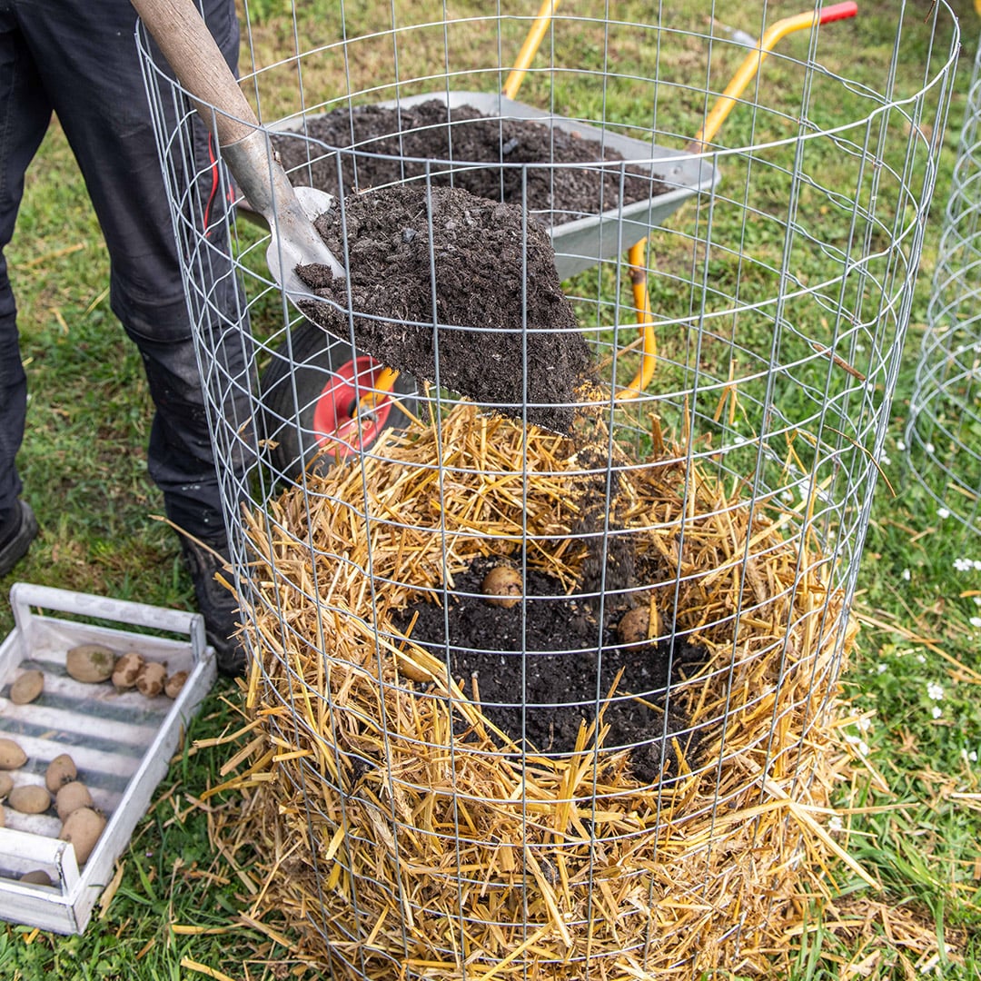How To Make A Potato Tower - Patient Gardener