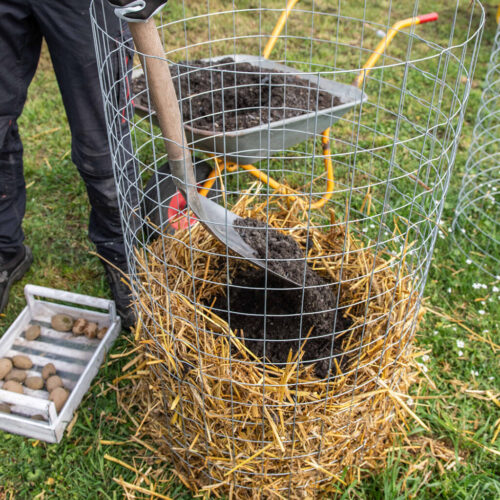 How To Make A Potato Tower - Patient Gardener