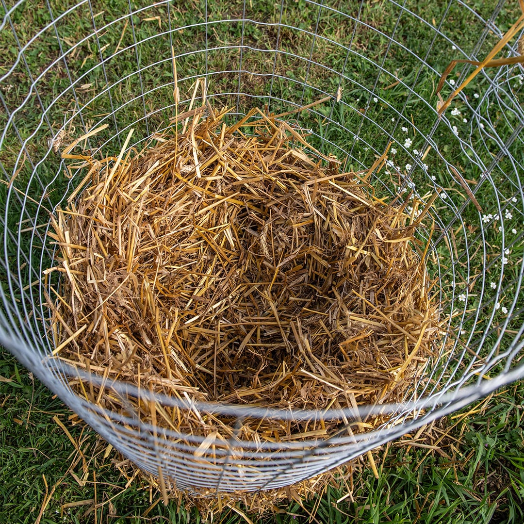 How To Make A Potato Tower - Patient Gardener