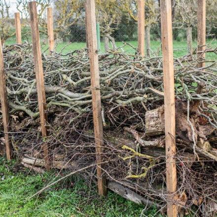How To Build A Dead Hedge - Patient Gardener