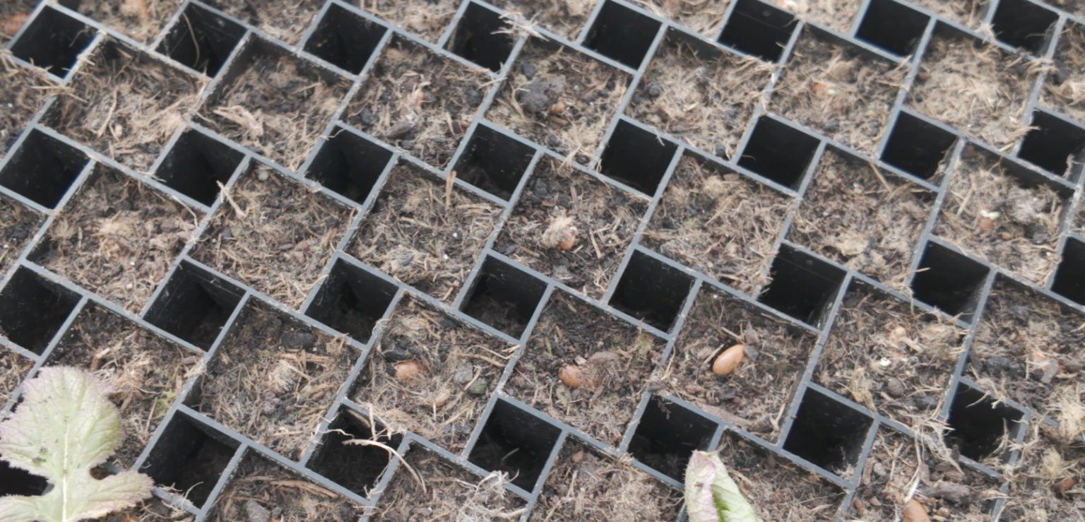 ASDA Compost - Is It Any Good? - Patient Gardener